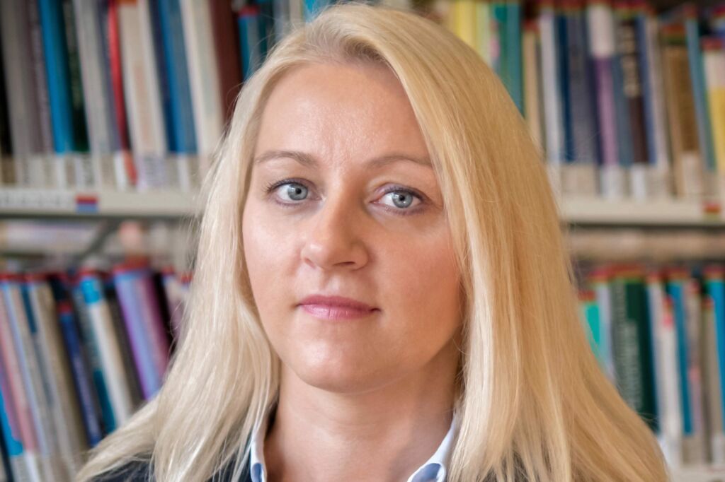 University structure - Vistula University